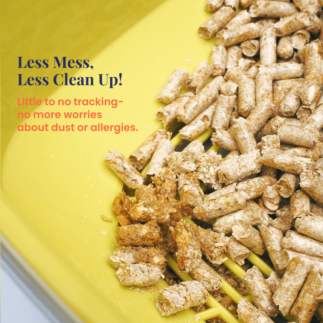 Timber Kitty Best Dust-Free Wood Cat Litter#R#| KinKo