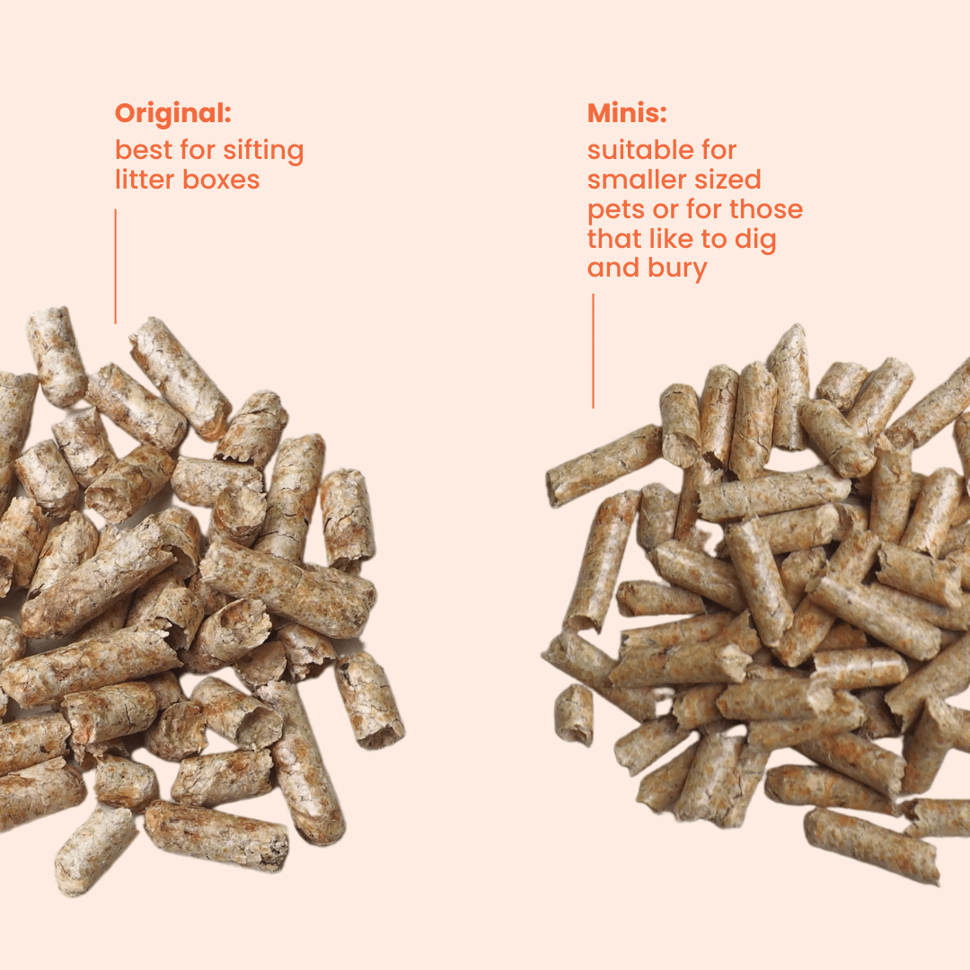 Timber Kitty Best Dust-Free Wood Cat Litter | KinKo