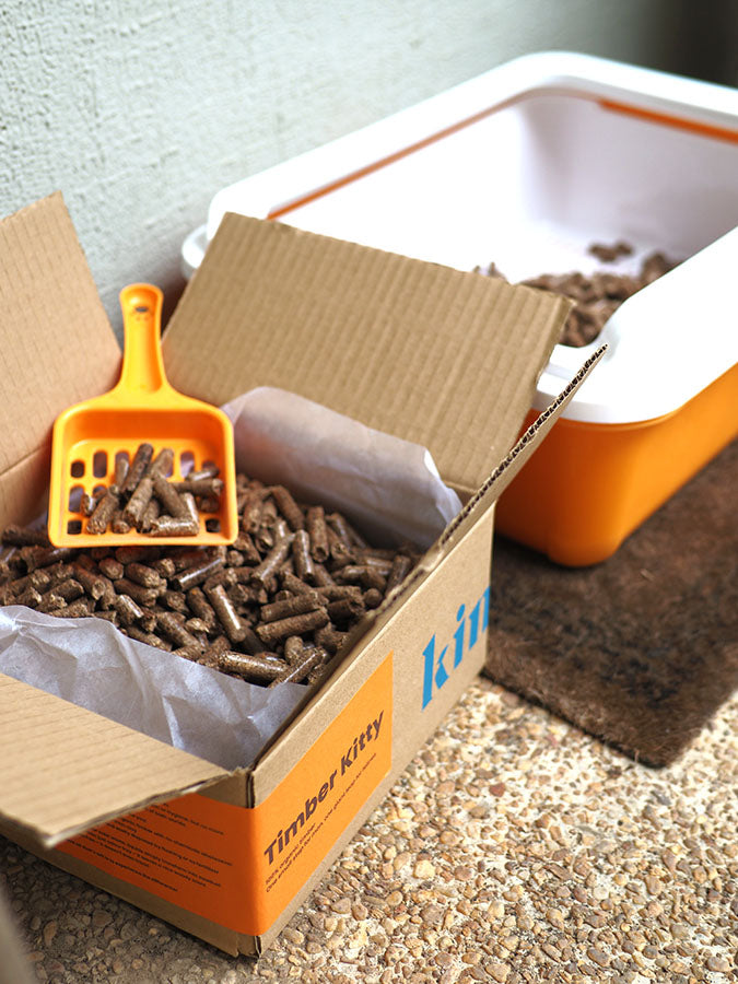 Timber Kitty | KinKo