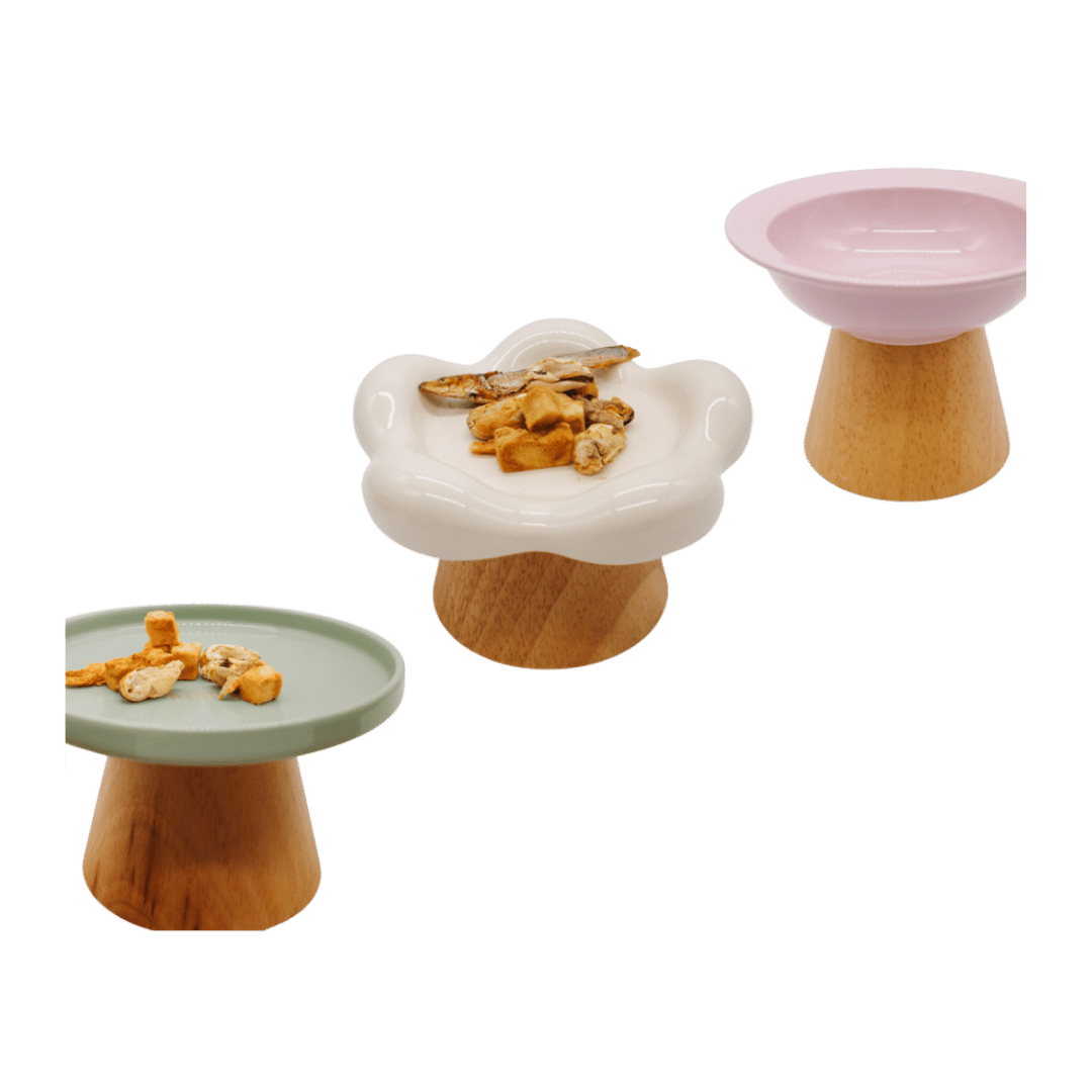 Shallow Ceramic Pet Plates & Bowls | KinKo