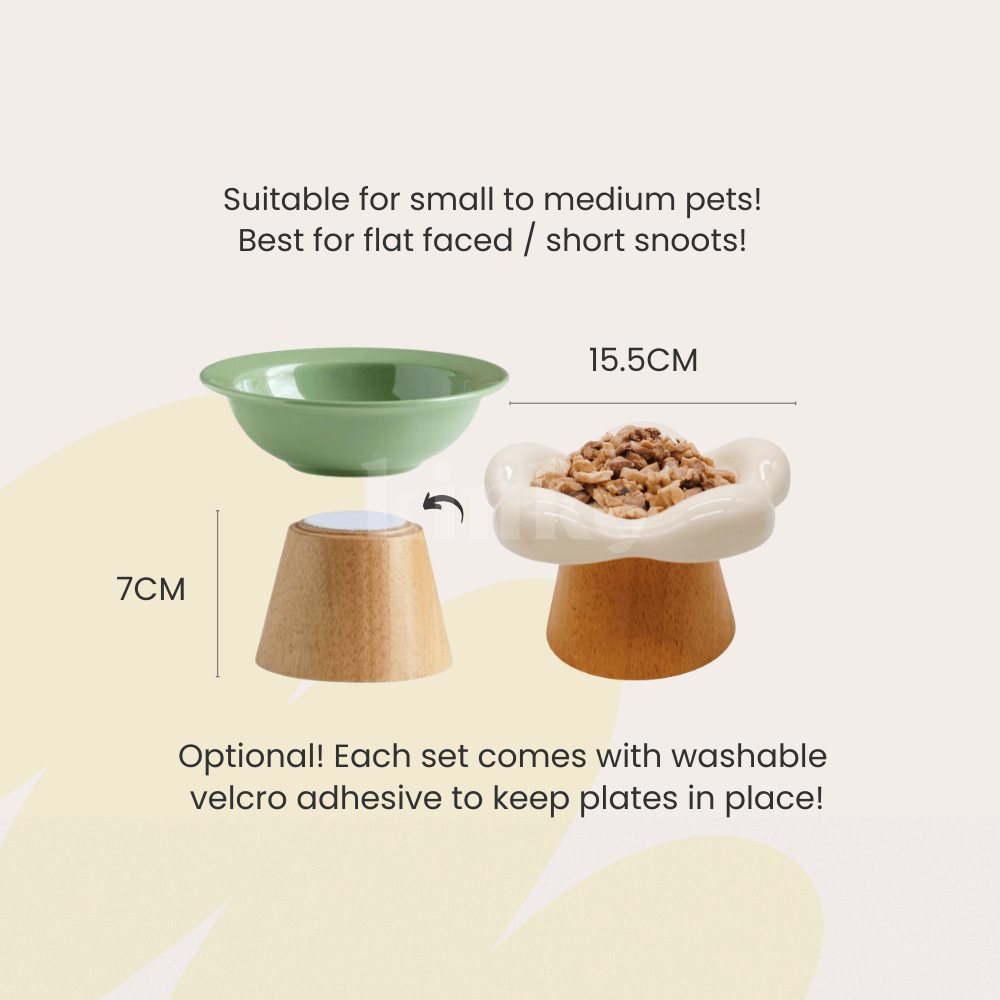 Shallow Ceramic Pet Plates & Bowls | KinKo