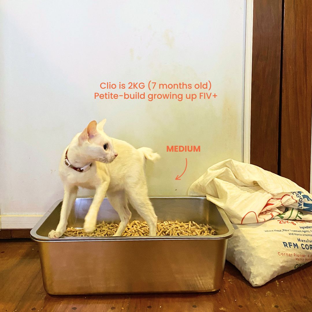 Stainless Steel Lift & Sift Litter Box (Jumbo & Medium) | KinKo