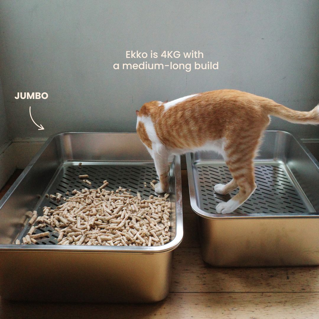 Stainless Steel Lift & Sift Litter Box (Jumbo & Medium) | KinKo
