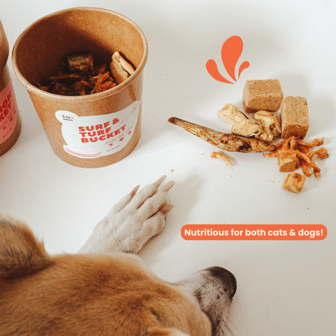 Freeze-dried Kinbites | KinKo