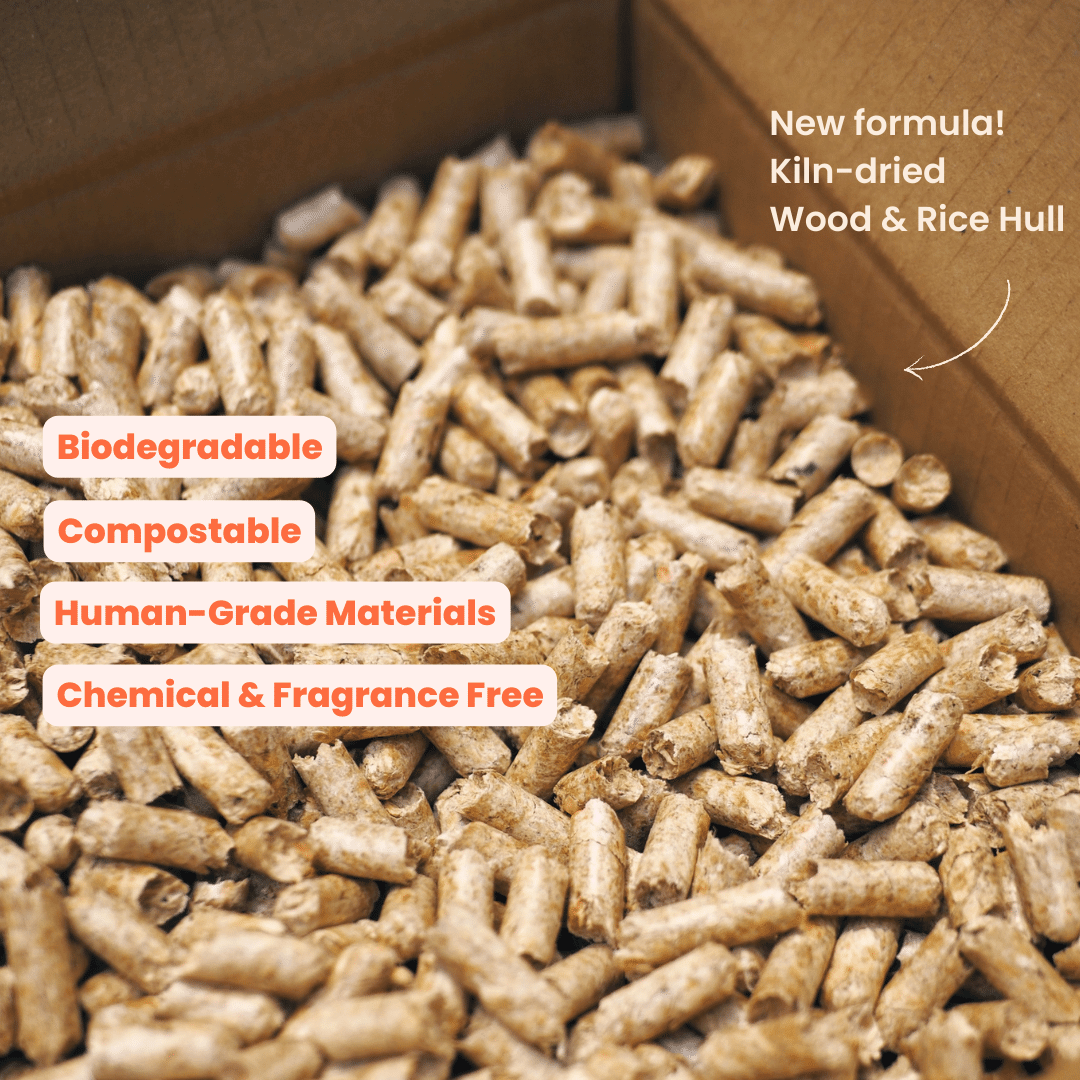 Timber Kitty Best Dust-Free Wood Cat Litter | KinKo